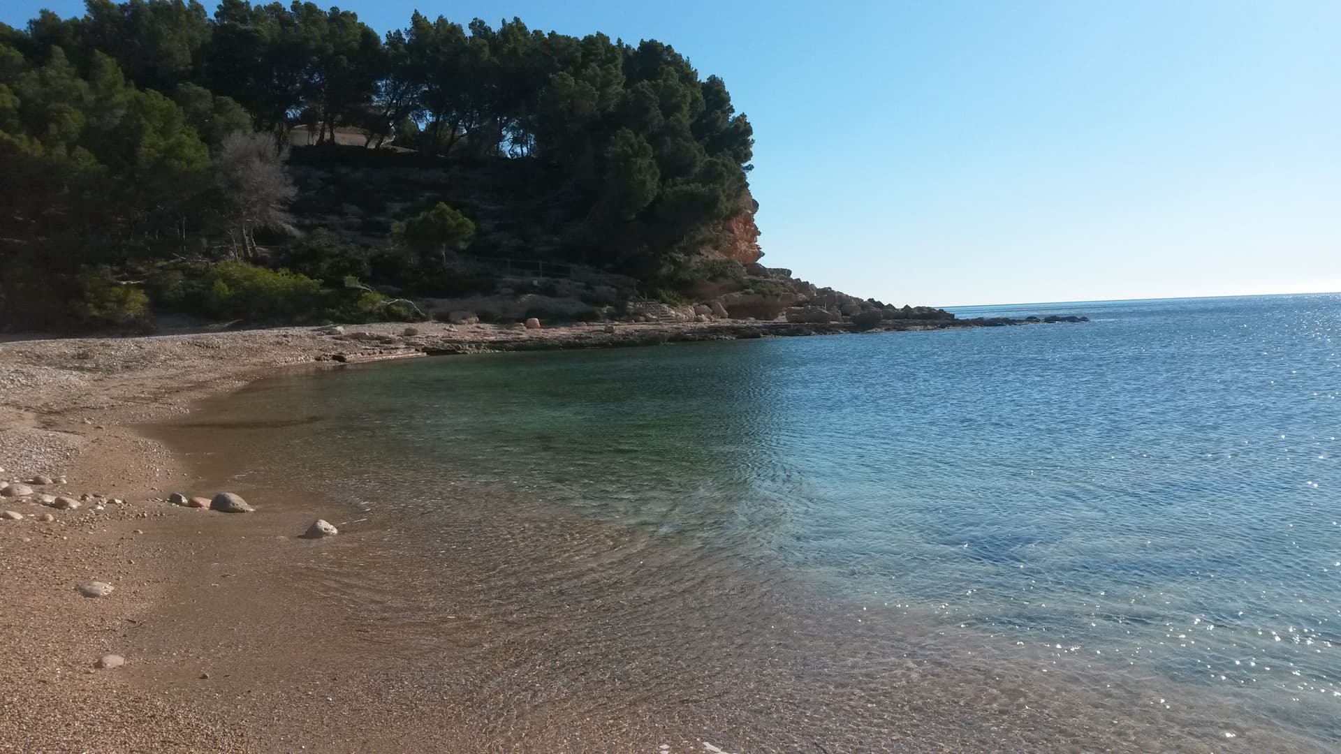 La galera, un crustáceo muy mediterráneo, muy nuestro - Patronato ...